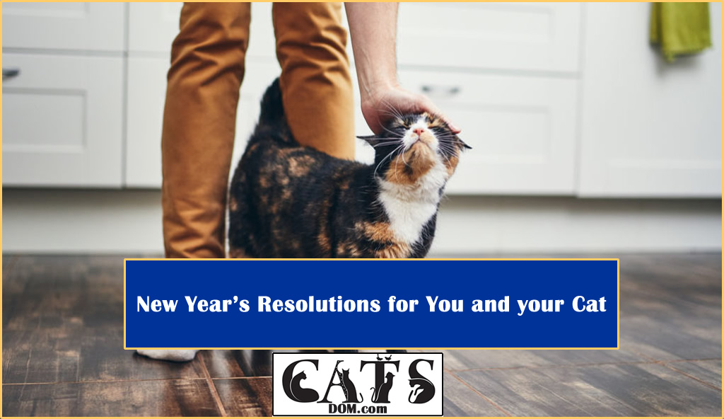 New Year’s Resolutions for You and Your Lovely Cat [2024]