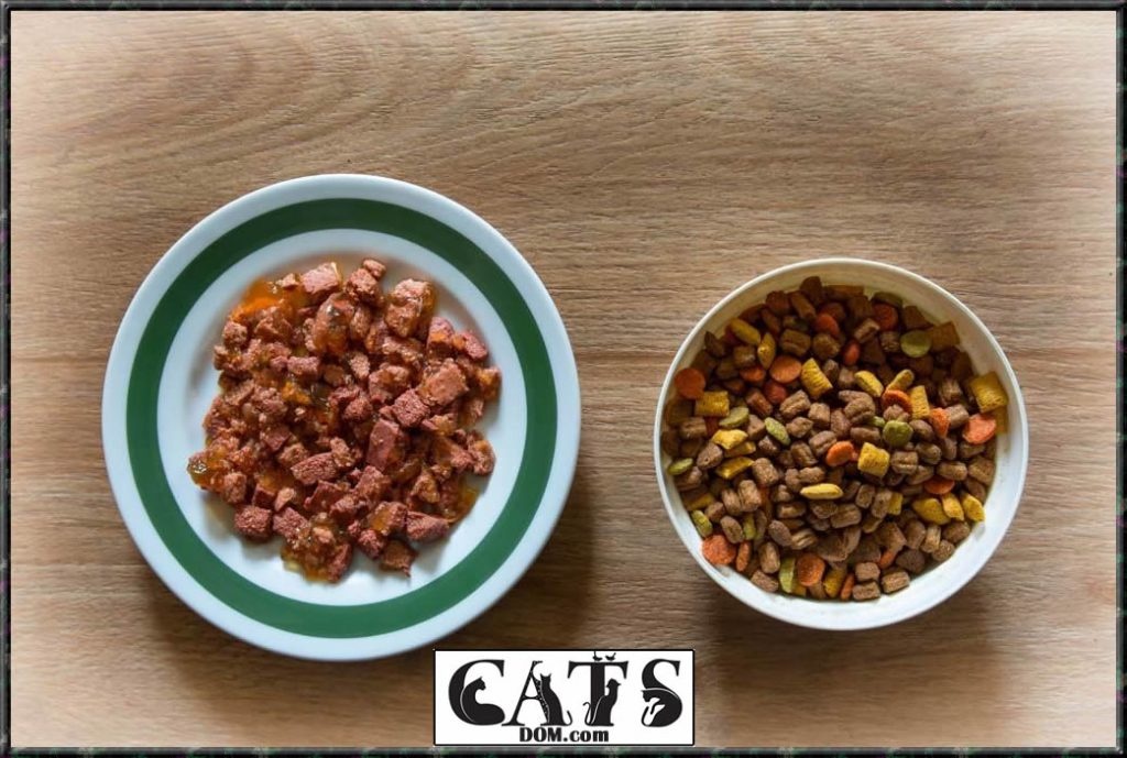 How Long Can Wet Cat Food Sit Out? [1 Hour Max]